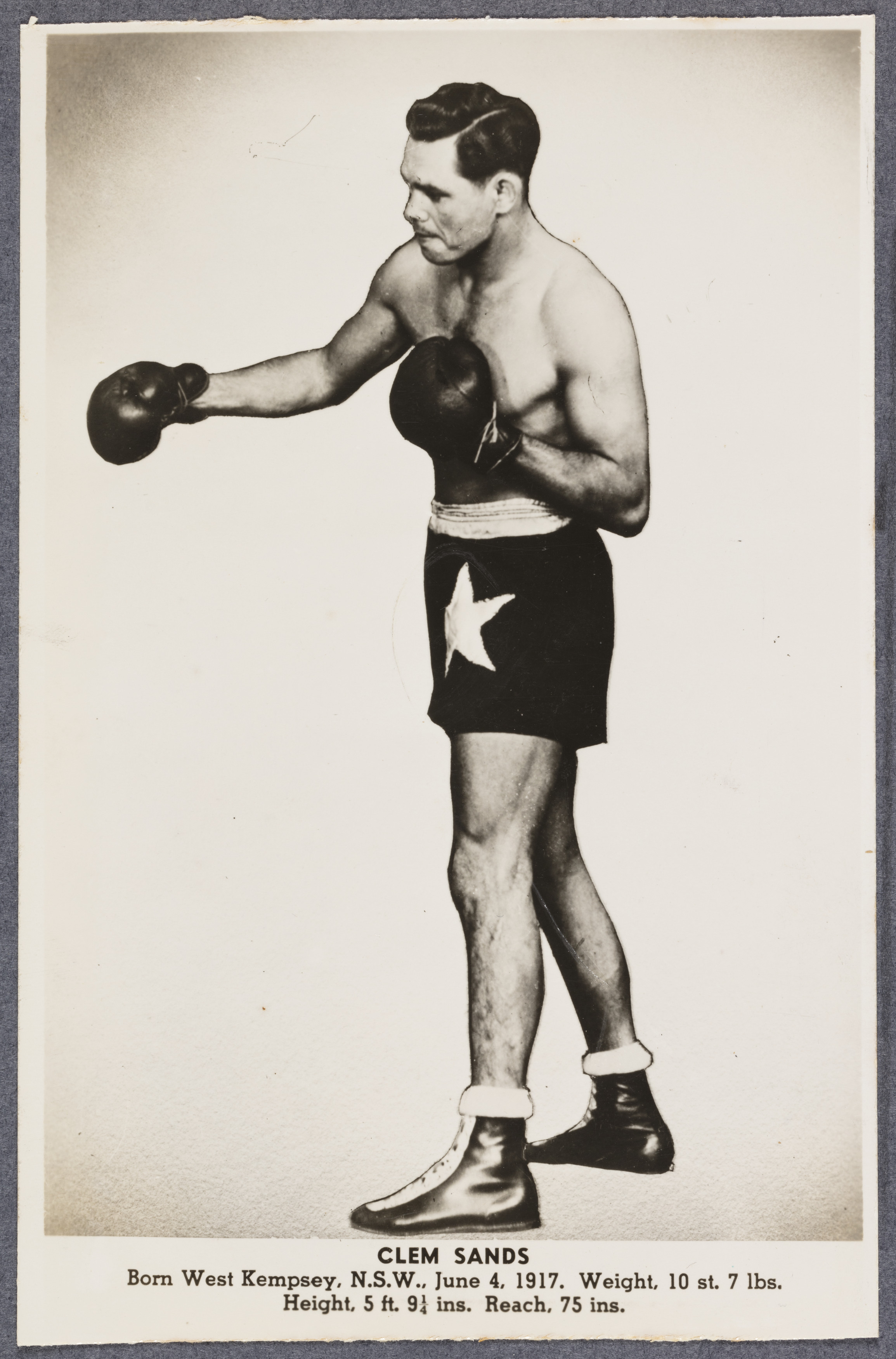 The Fighting Sands Brothers | State Library of NSW