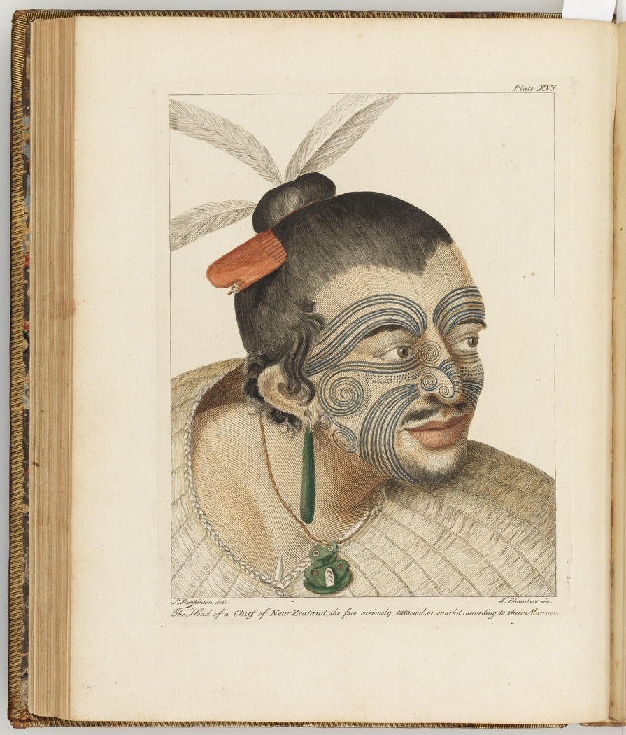 Sydney Parkinson | Captain Cook’s voyages of exploration | Stories ...